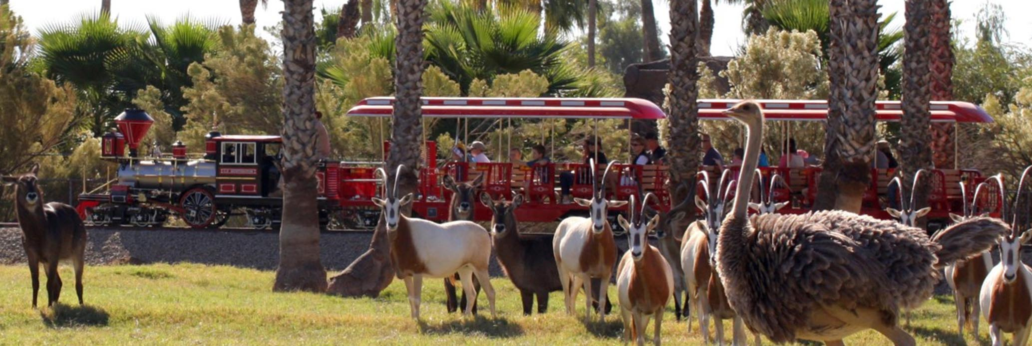 Welcome to Wildlife World Zoo with more than 600 separate species ...