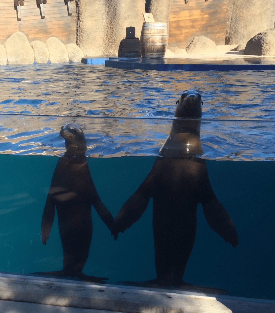 Welcome to Wildlife World Zoo with more than 600 separate species ...